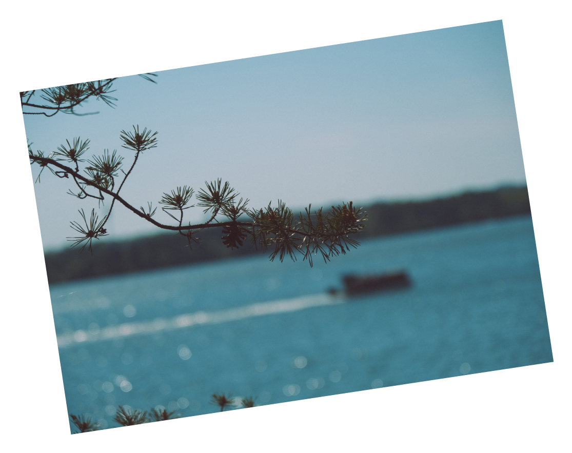 Home - West Carolina